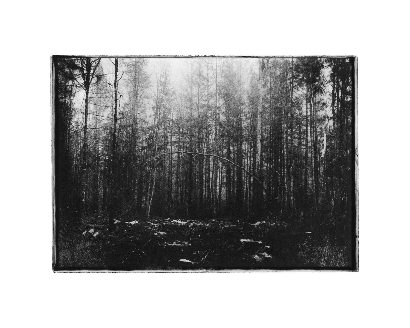 SELVA OSCURA - ROMAIN REDLER - Photography