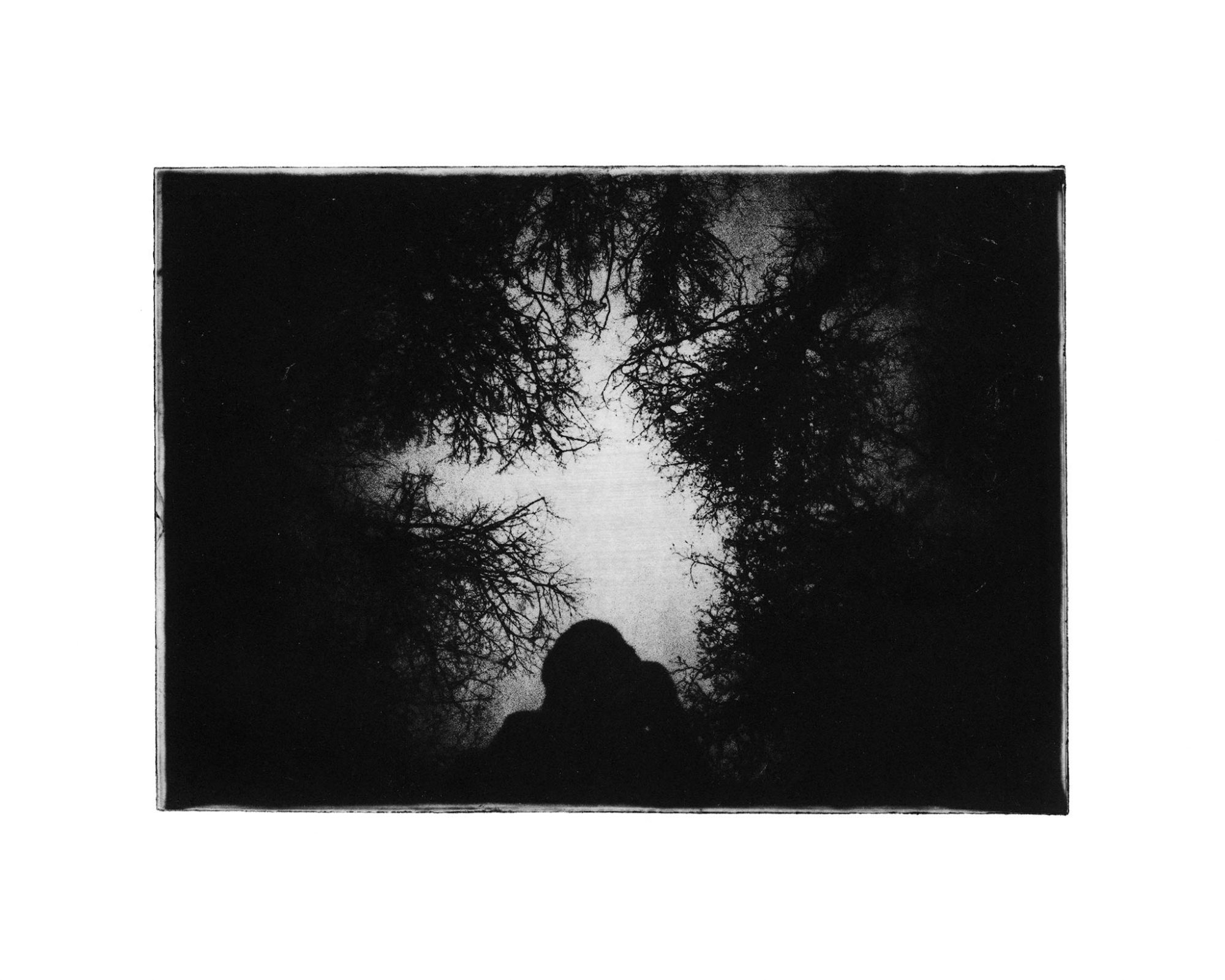 SELVA OSCURA - ROMAIN REDLER - Photography